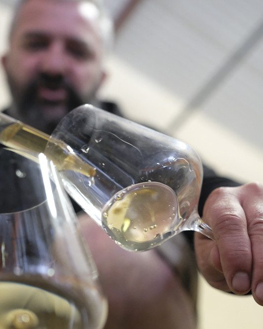 Alexandre BAIN - vins-authentiques.ch